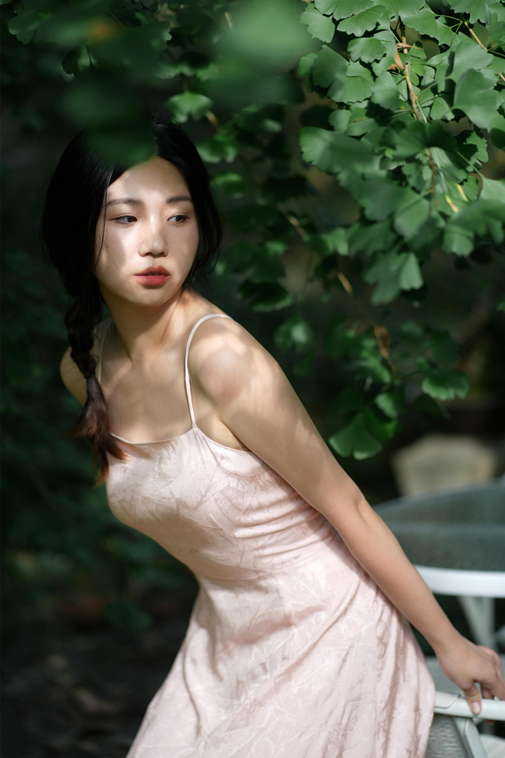 An Xiang 暗香 Distant Fragrance Modernized Song Dynasty Feijixiu & Baidi ...