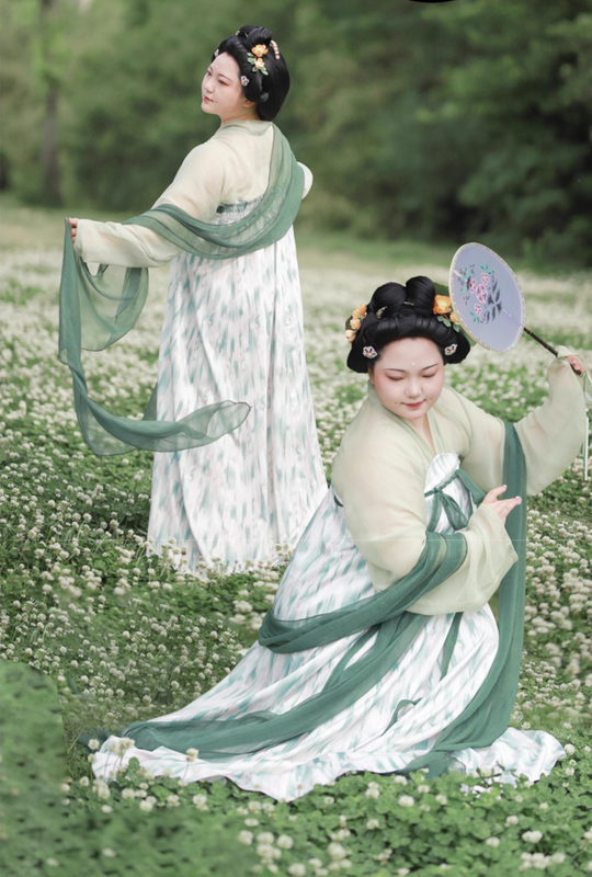 Luwu 绿芜 Shrouded Ivy Tang Dynasty Plus Size Summer Qixiong Ruqun Set ...